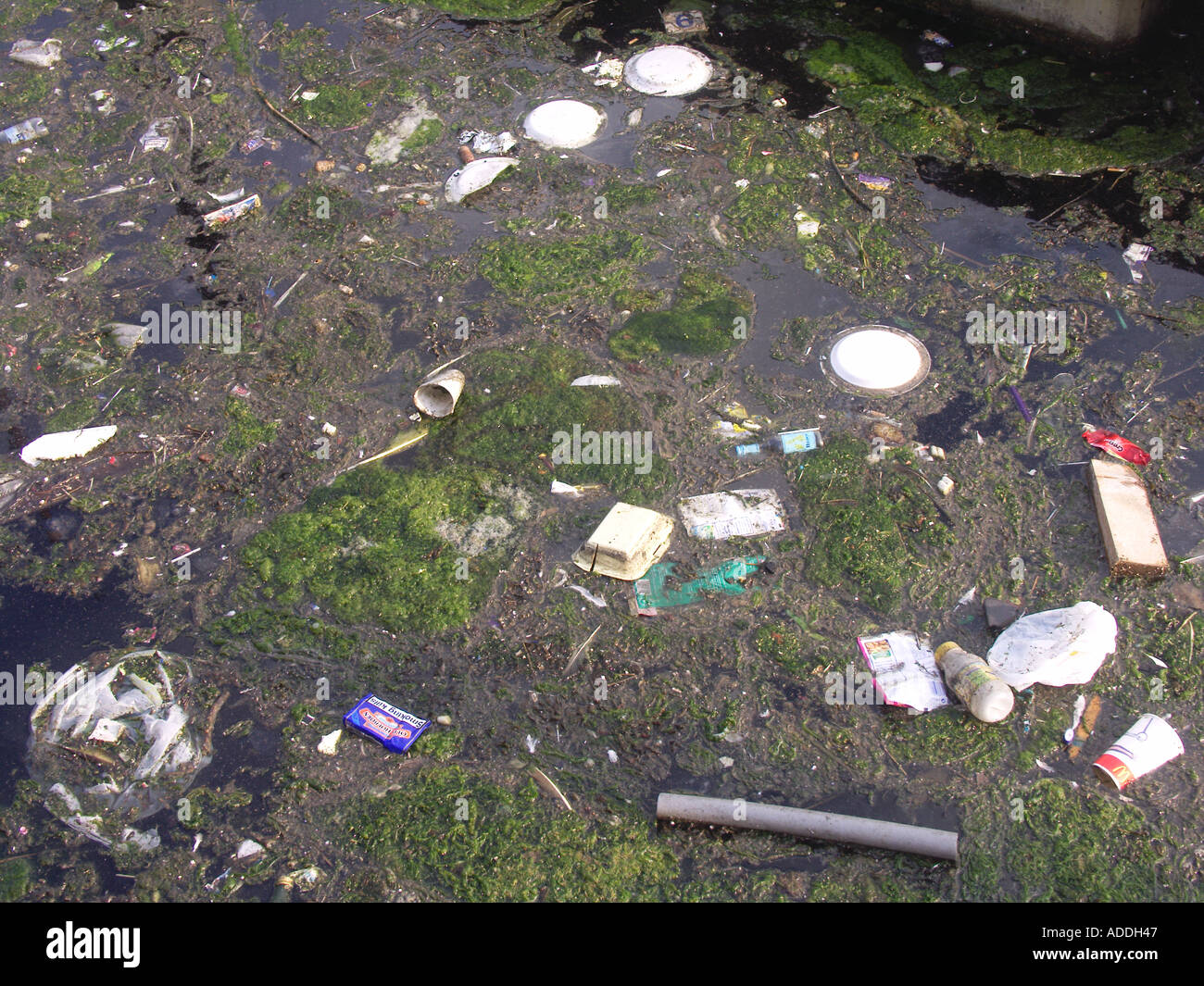 Litter pollution and nitrate eutrophication water Stock Photo - Alamy