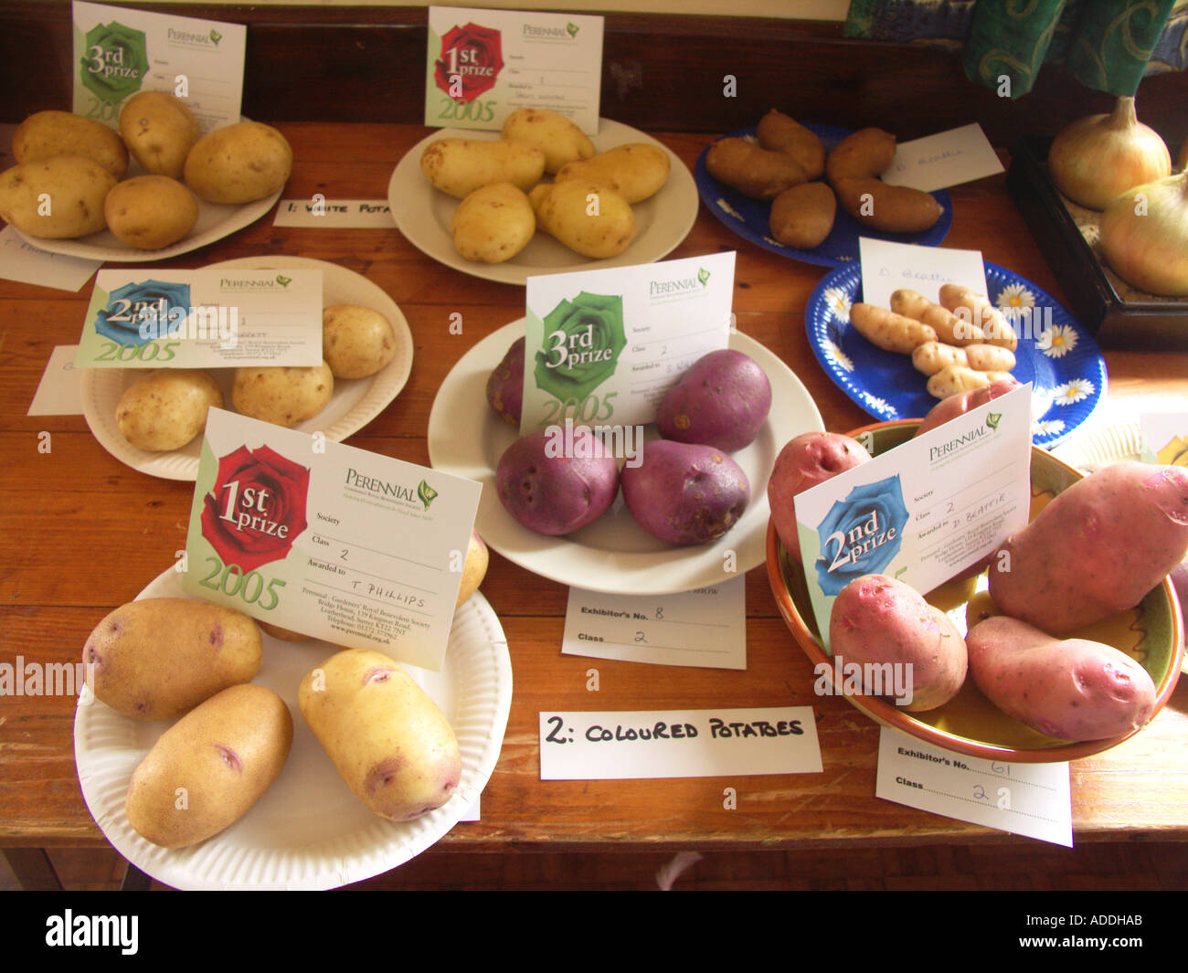 Prize winning potatoes in village show Stock Photo - Alamy