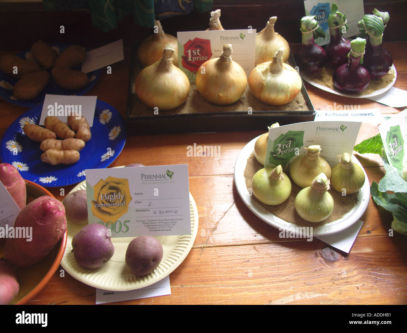 Prize winning vegetables in village show Stock Photo - Alamy