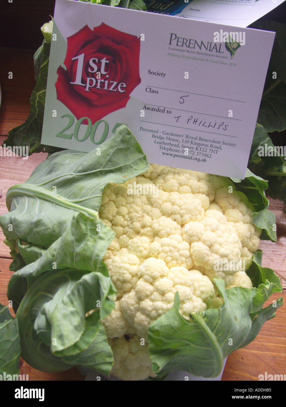 Show cauliflower hi-res stock photography and images - Alamy