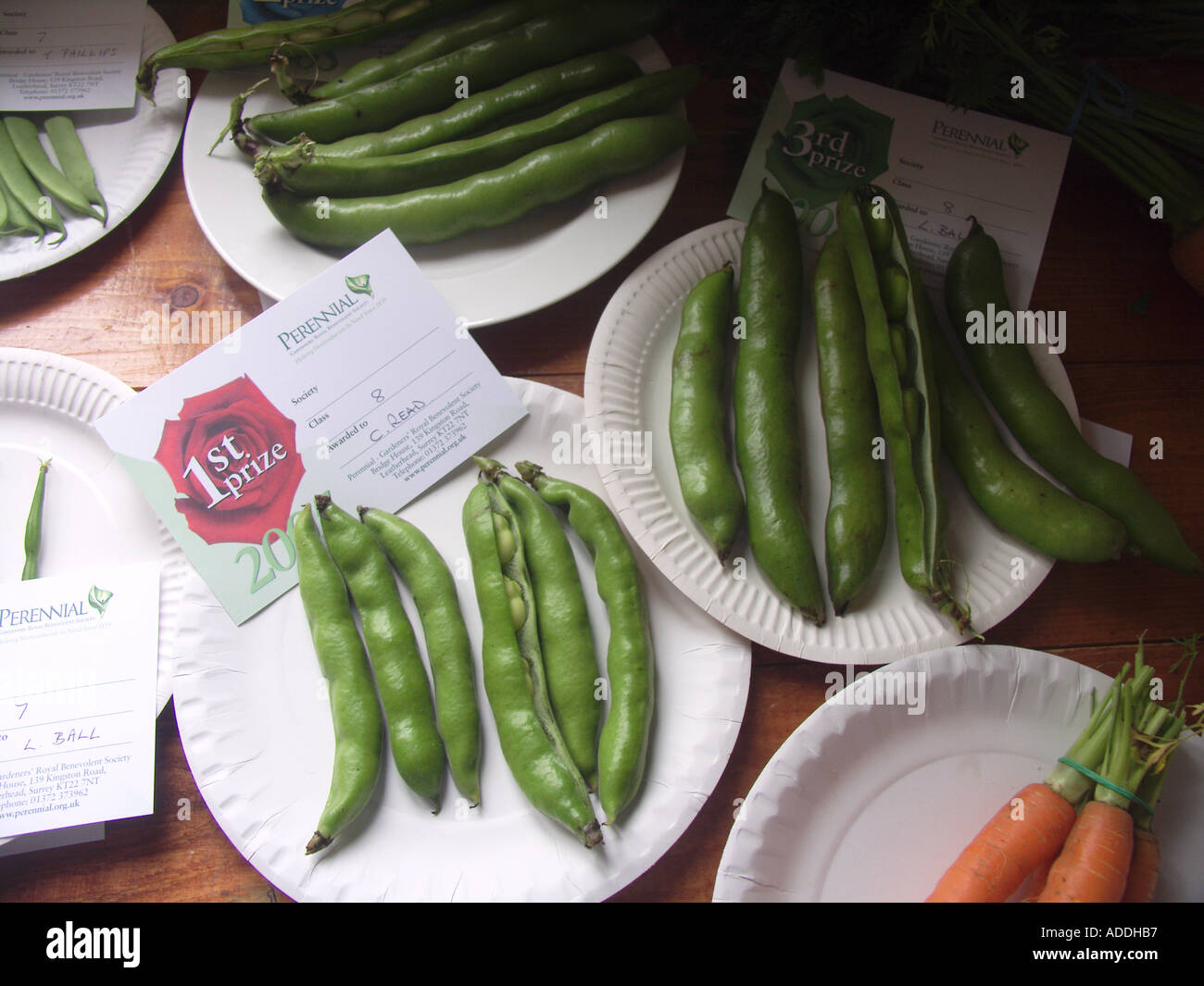 Prize winning beans in village show Stock Photo - Alamy