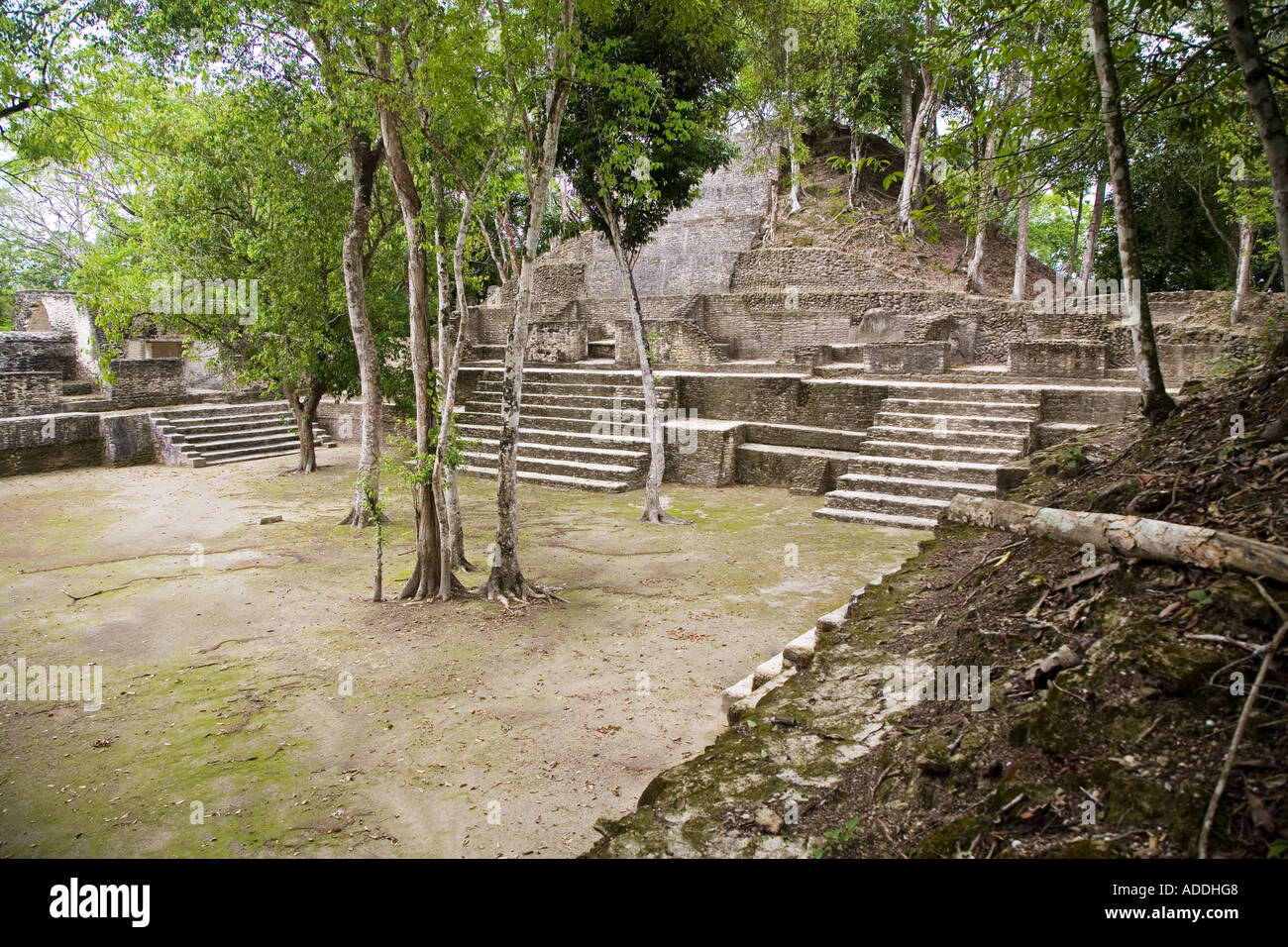 Pech honduras hi-res stock photography and images - Alamy