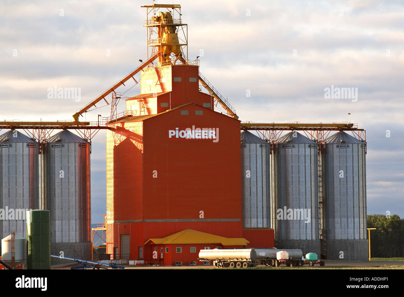 Friendly manitoba hi-res stock photography and images - Alamy