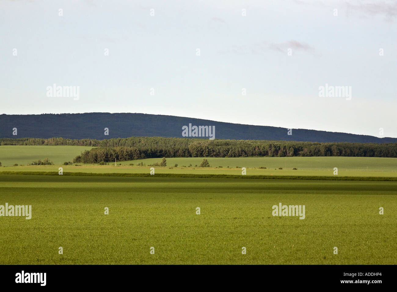Friendly manitoba hi-res stock photography and images - Alamy
