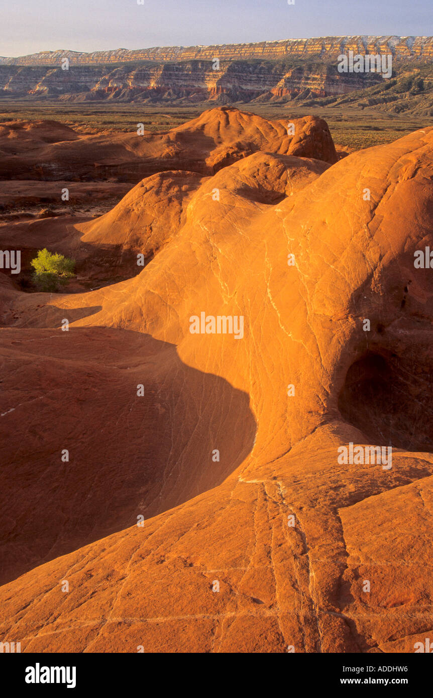 Sunrise colors sandstone landscape along the Straight Cliffs south of ...