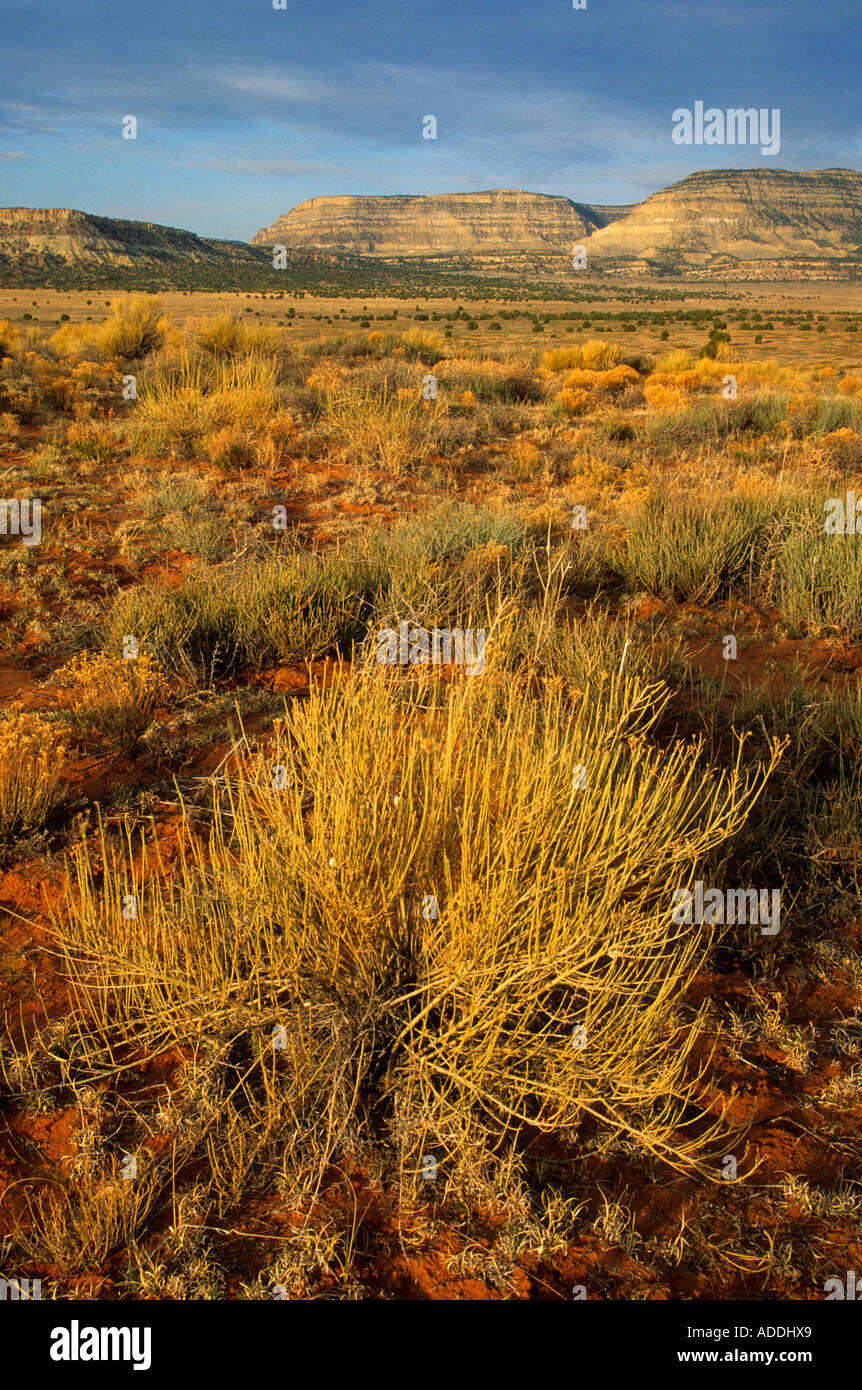 Sunrise colors the desert below the Straight Cliffs in Grand Staircase ...