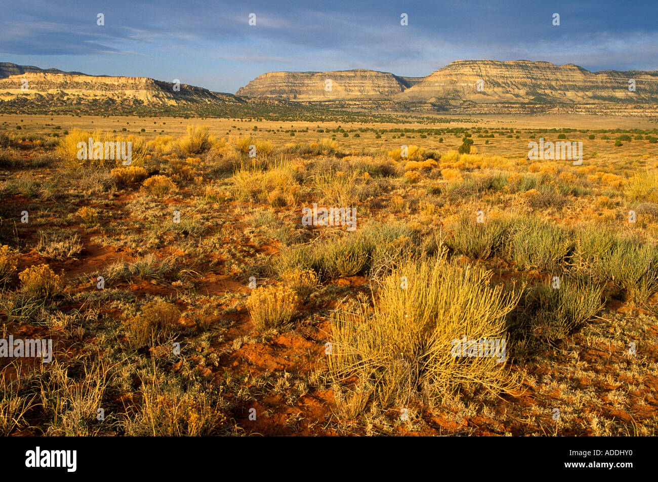 Straight cliffs utah hi-res stock photography and images - Alamy