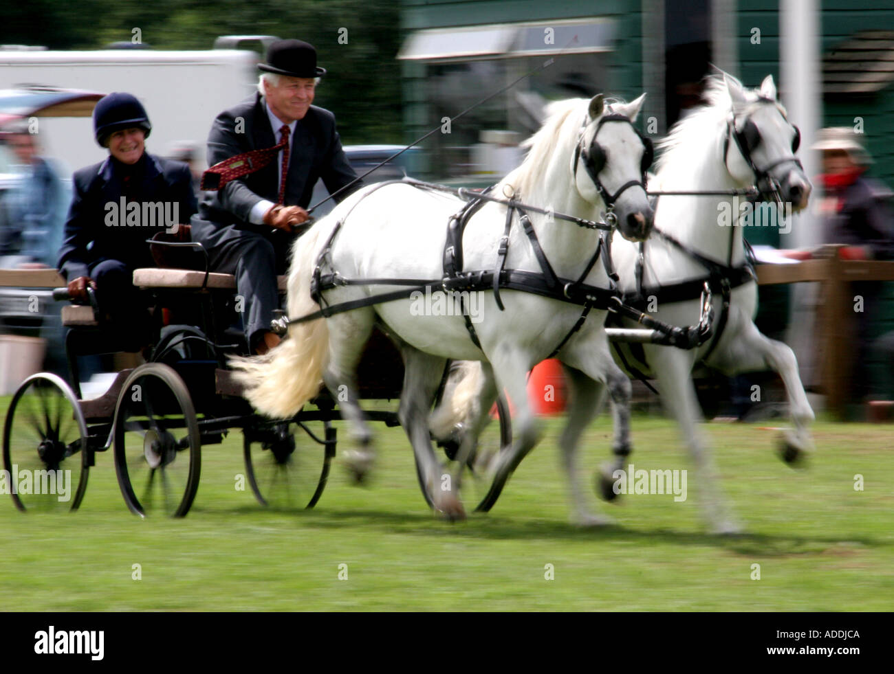 Longines royal international horse show hi-res stock photography and ...