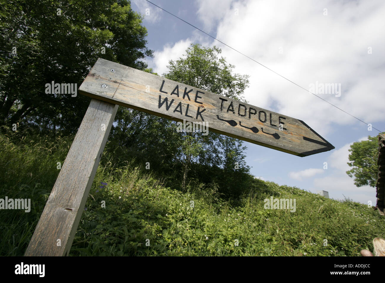 Wooden sign pointing way of nature trail Stock Photo - Alamy