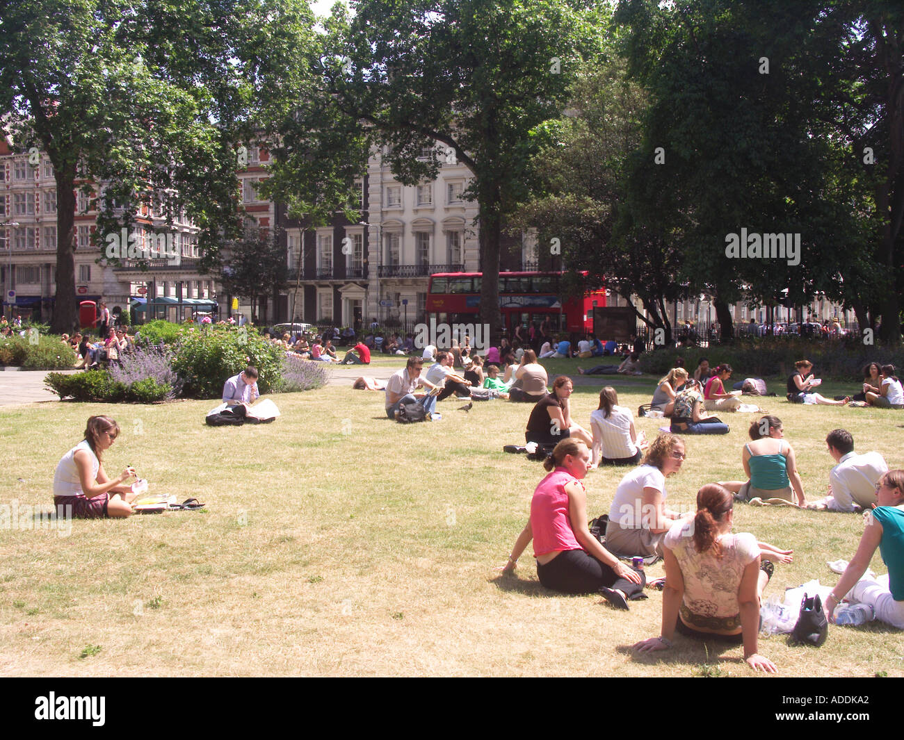 Sunbathers in public park Bloomsbury Square central London Stock Photo ...