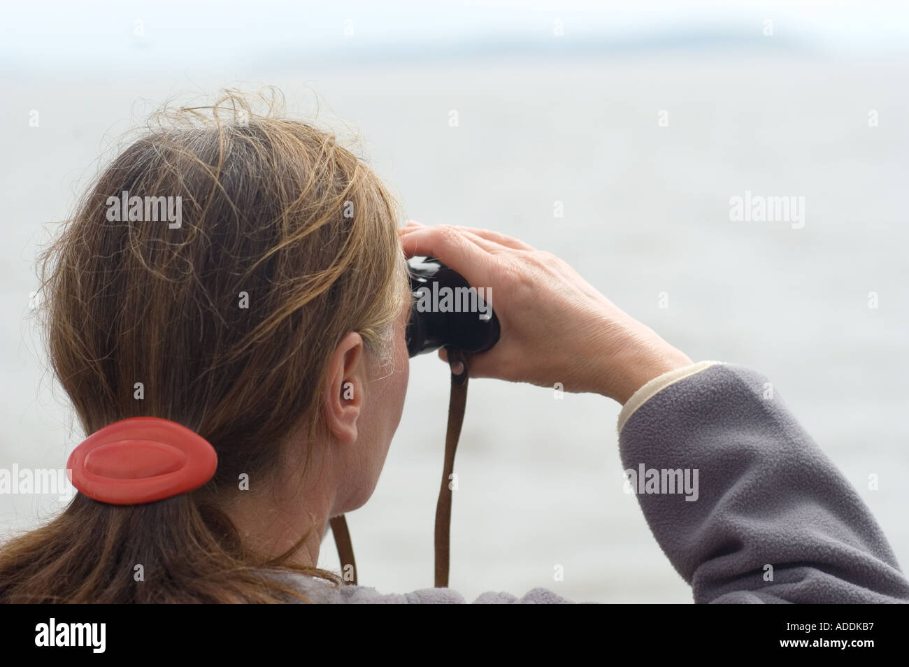 Inspection scout hi-res stock photography and images - Alamy