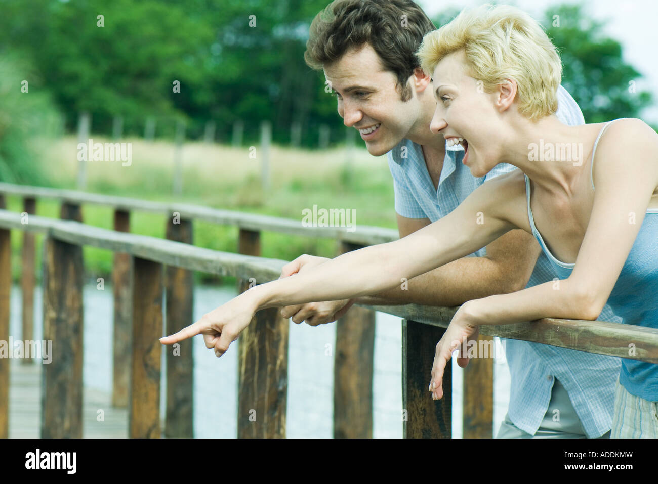 Two bridges side by side over greenery hi-res stock photography and ...