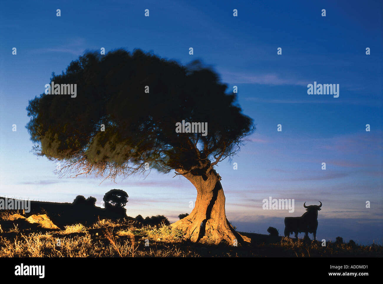 Next to a tree hi-res stock photography and images - Alamy