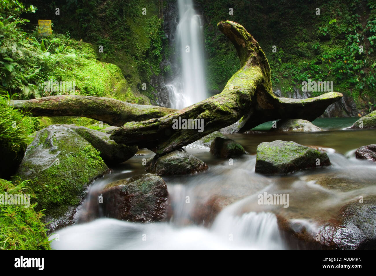 South East Luzon Bicol Mt Isarog National Park Malabsay Waterfall Stock ...