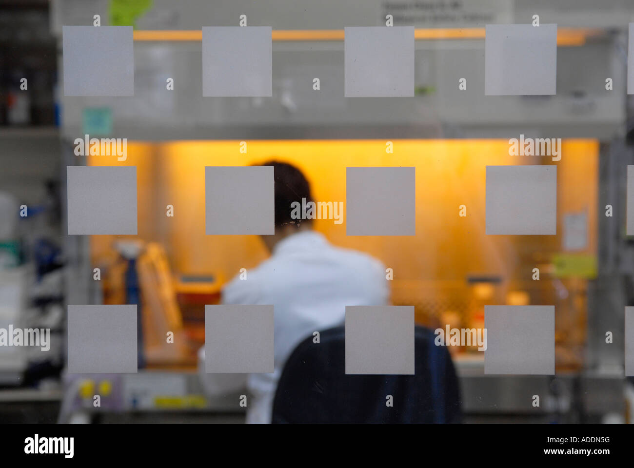 Lab technician at work in the research laboratory of the IVF In vitro ...