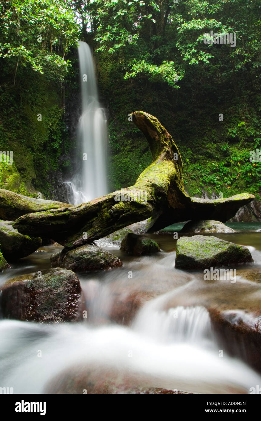 South East Luzon Bicol Mt Isarog National Park Malabsay Waterfall Stock ...