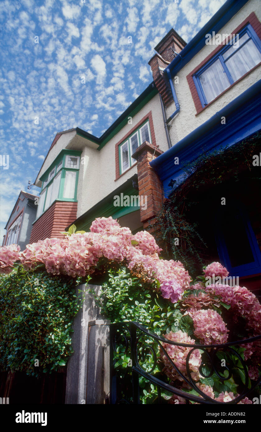 London house front garden hi-res stock photography and images - Alamy