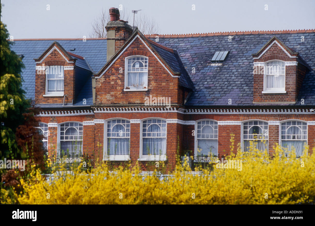 terraced houses Tooting South London Stock Photo - Alamy