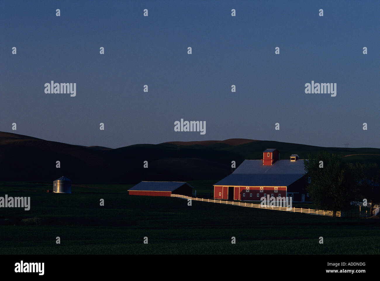 Sunset light on red barn in field of green grass with white fence ...