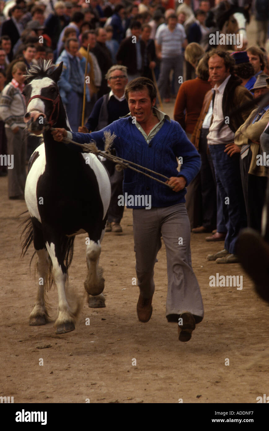 Appleby Gypsy Fair Horse dealer running horse through crowd showing it ...