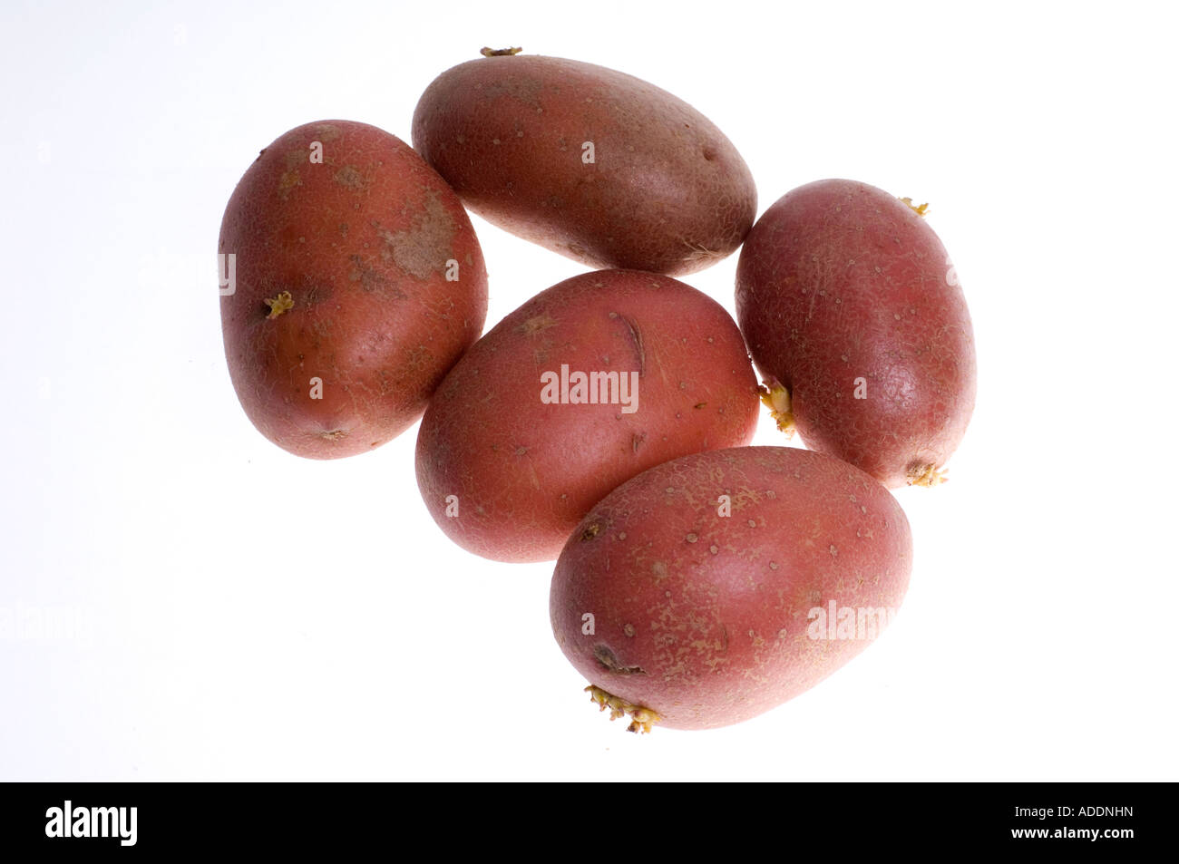 ‘all red’ potato hi-res stock photography and images - Alamy