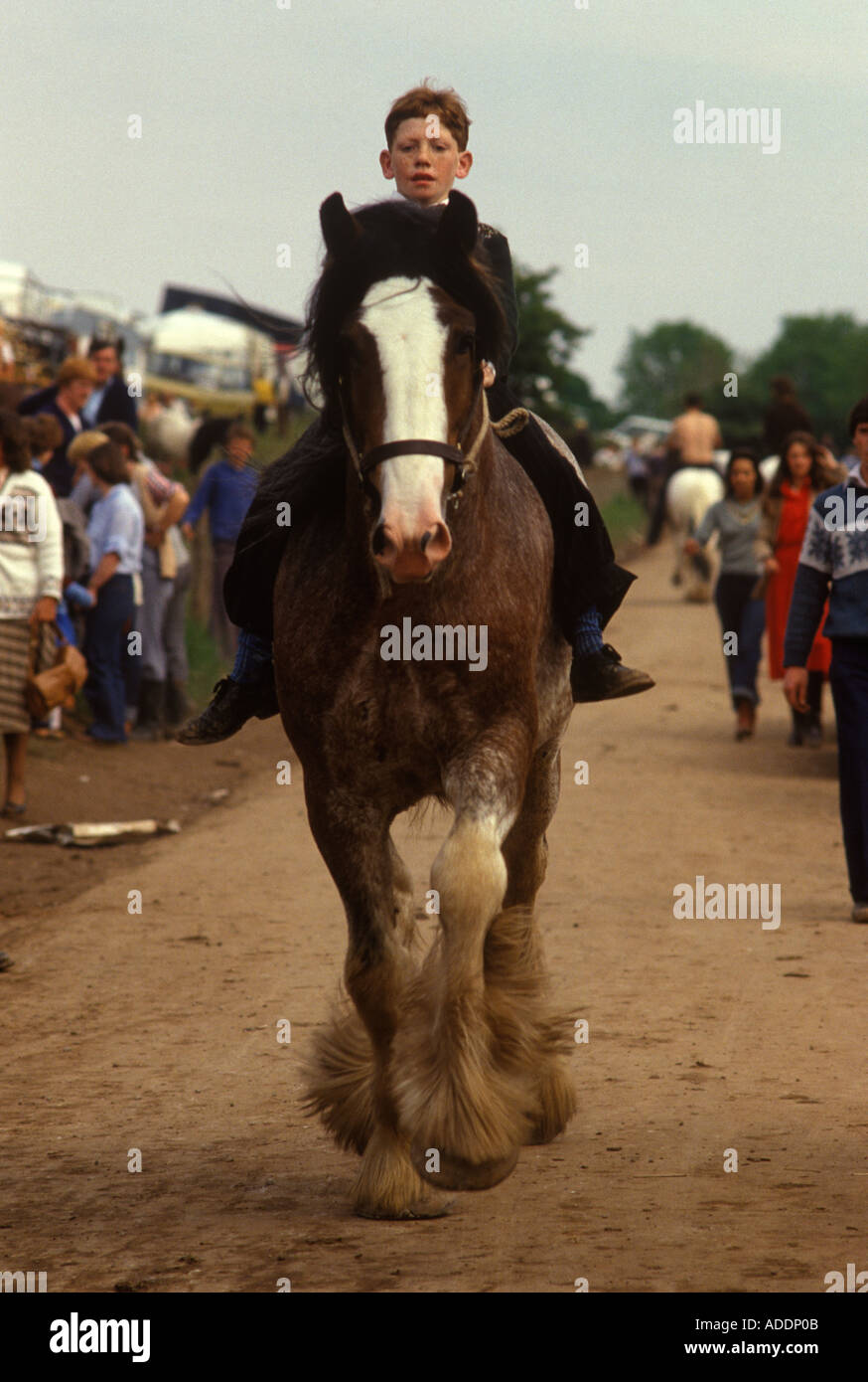 Appleby Gypsy Horse Fair boy showing horses riding up and down so ...