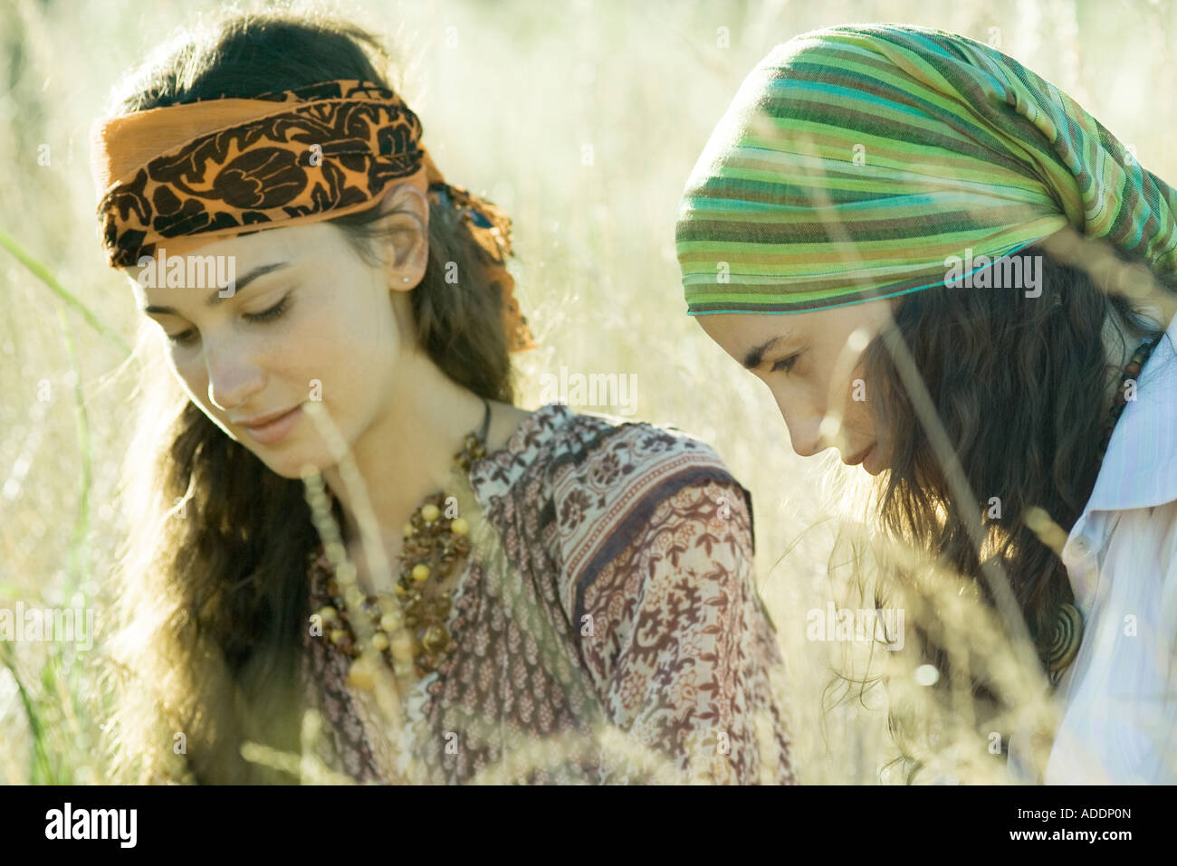 Two young women sitting in field, looking down Stock Photo - Alamy