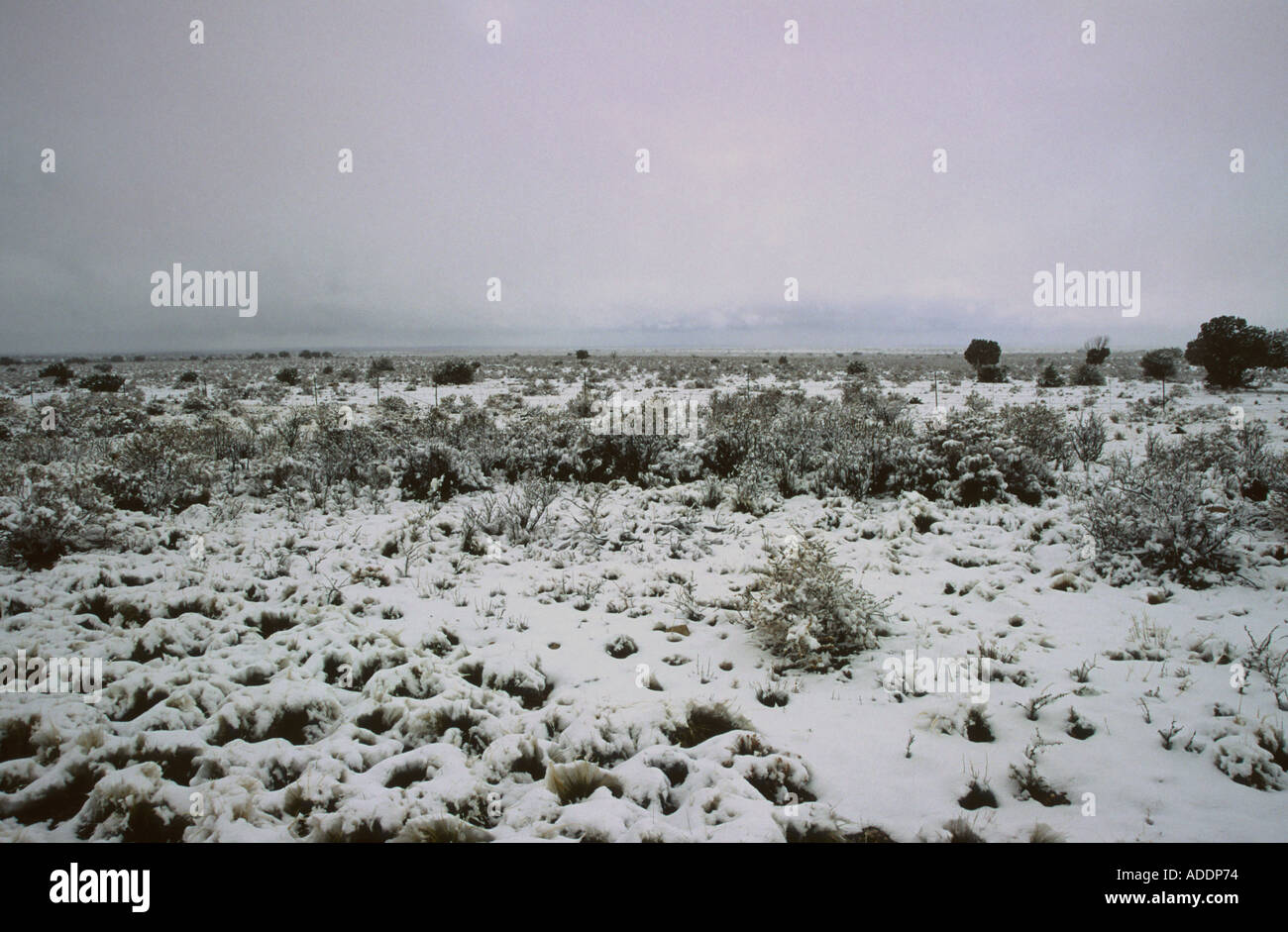 Snow in desert near Grand Canyon Arizona USA Stock Photo - Alamy
