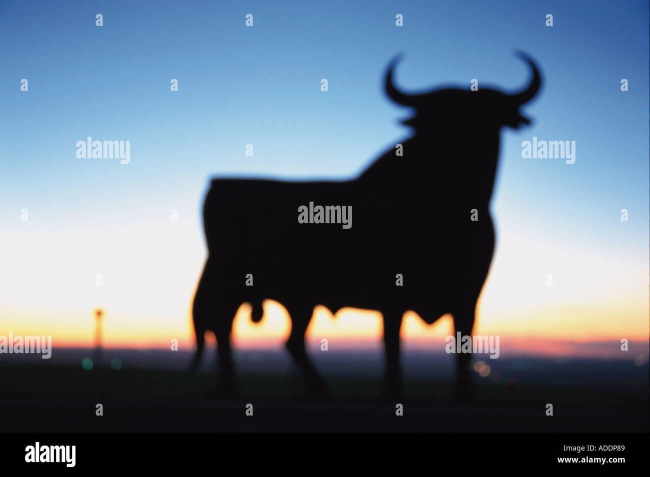 Stier osborne hi-res stock photography and images - Alamy