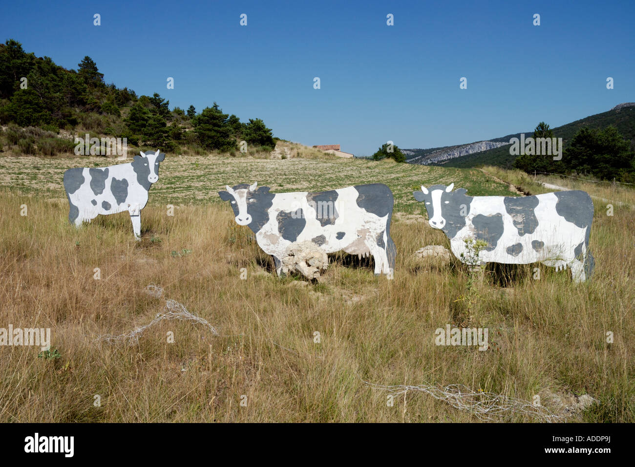 Fake cows hi-res stock photography and images - Alamy