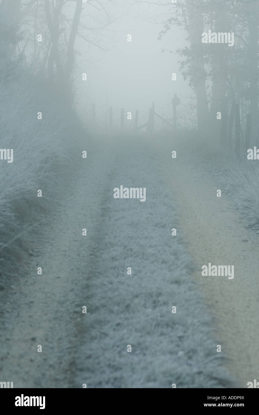 Frost covered rural road Stock Photo - Alamy