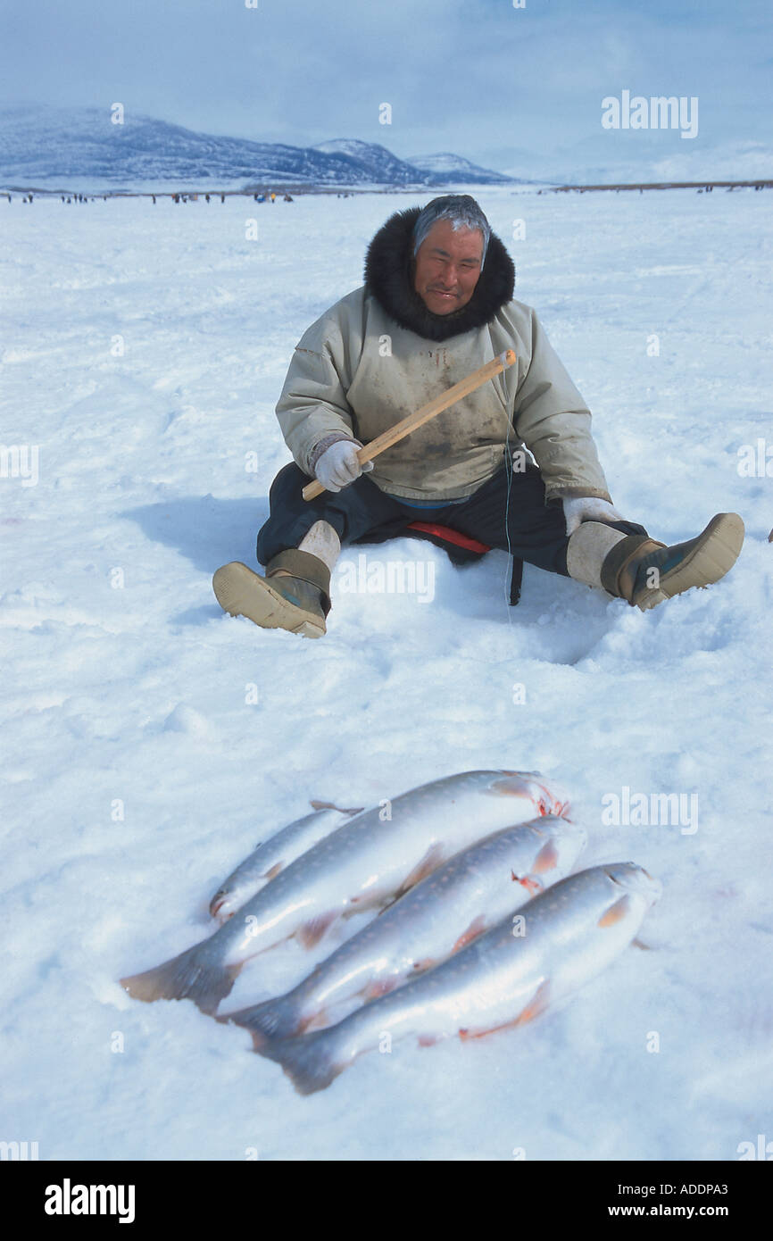 Padlee hi-res stock photography and images - Alamy