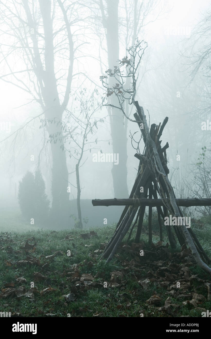 Misty landscape with teepee-shaped log structure in foreground Stock ...