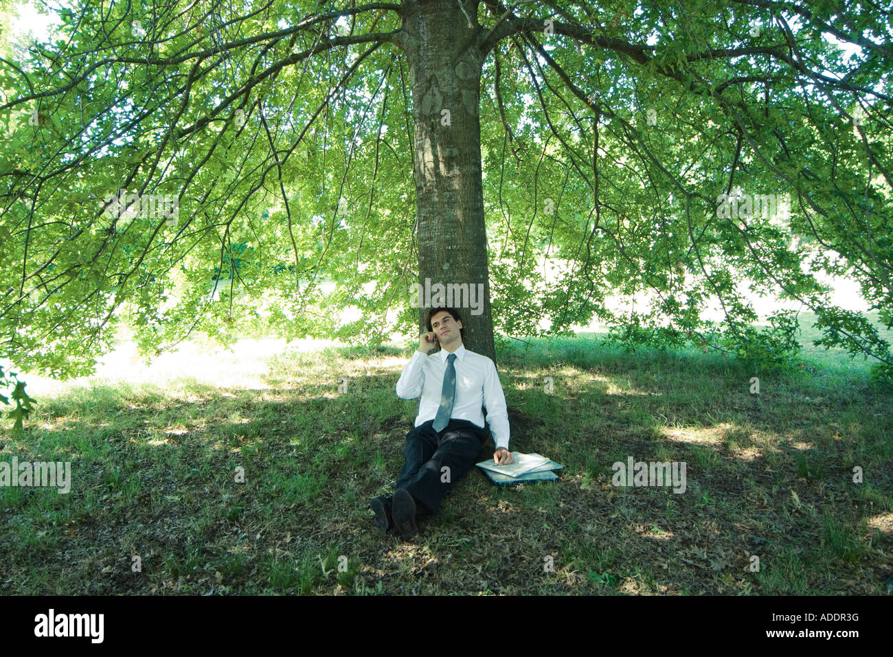 Man Sitting Under Shade Tree High Resolution Stock Photography and ...