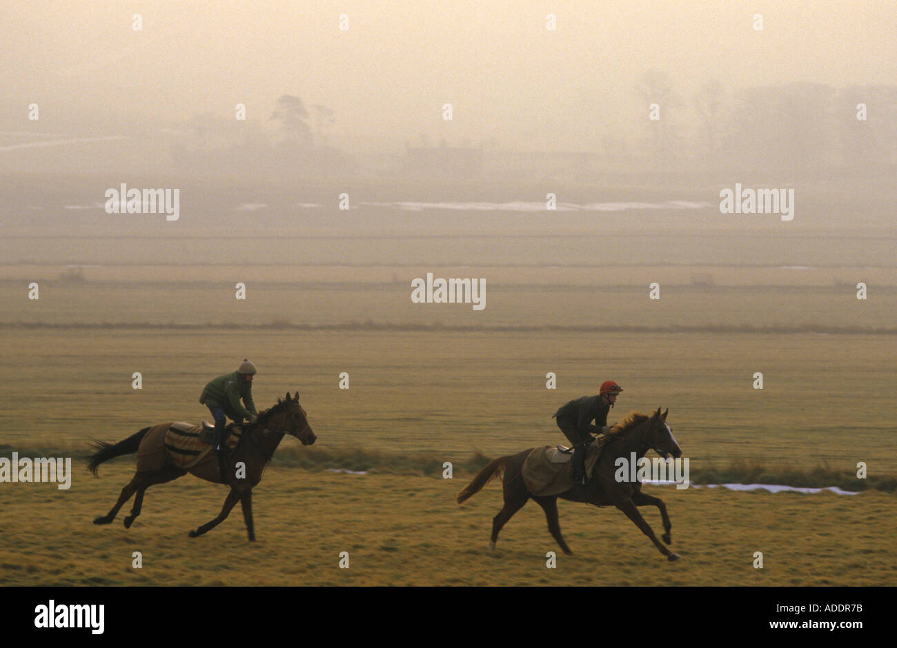 Morning gallops exercise Berkshire Downs near Lambourn HOMER SYKES ...