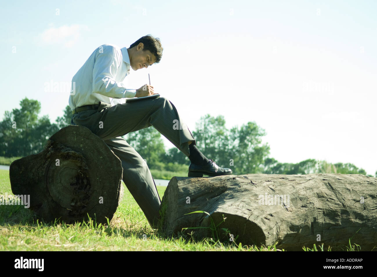 Businessman sitting on log, writing Stock Photo - Alamy
