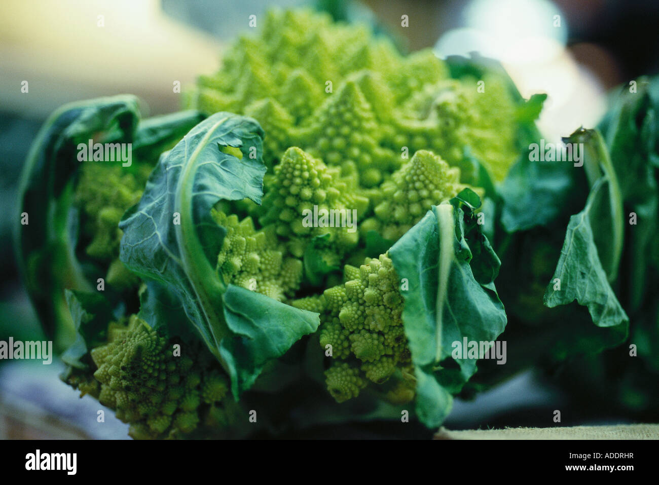 Chou romanesco hi-res stock photography and images - Alamy