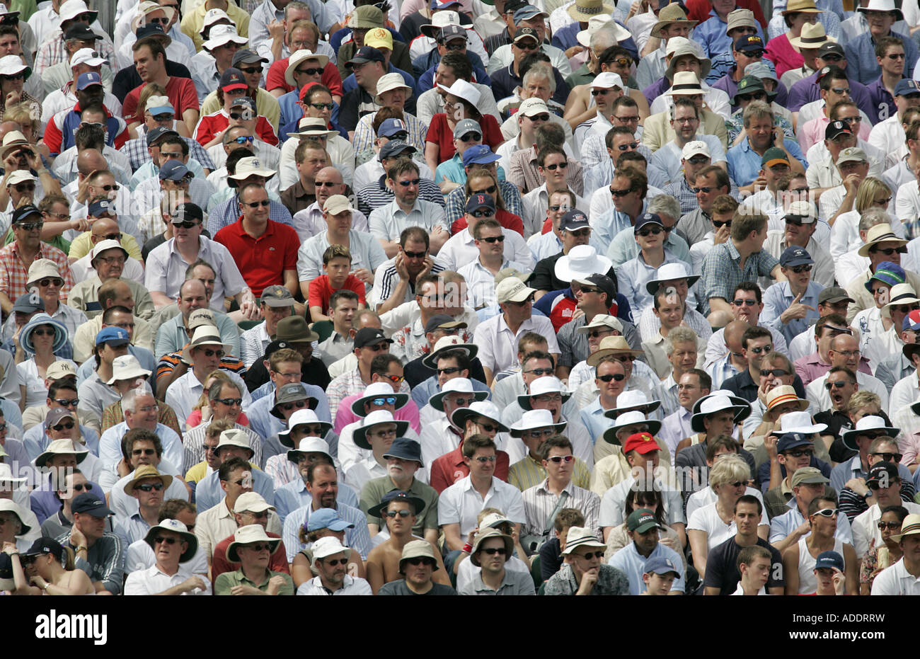 Cricket spectators crowd hi-res stock photography and images - Alamy