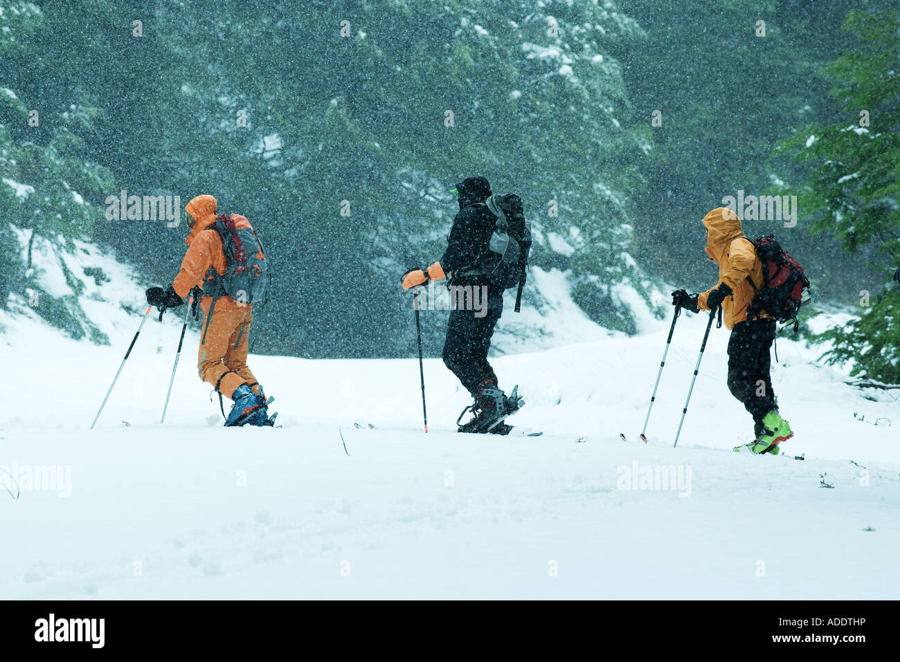 Single file movement hi-res stock photography and images - Alamy