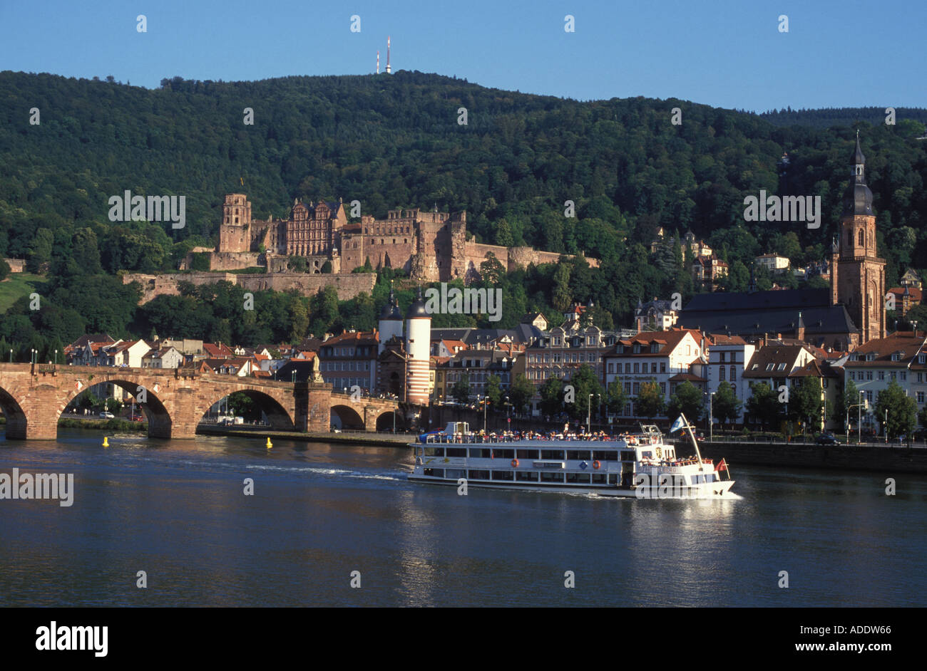 Excursion ship on river Neckar in front of Heidelberg Germany Stock ...