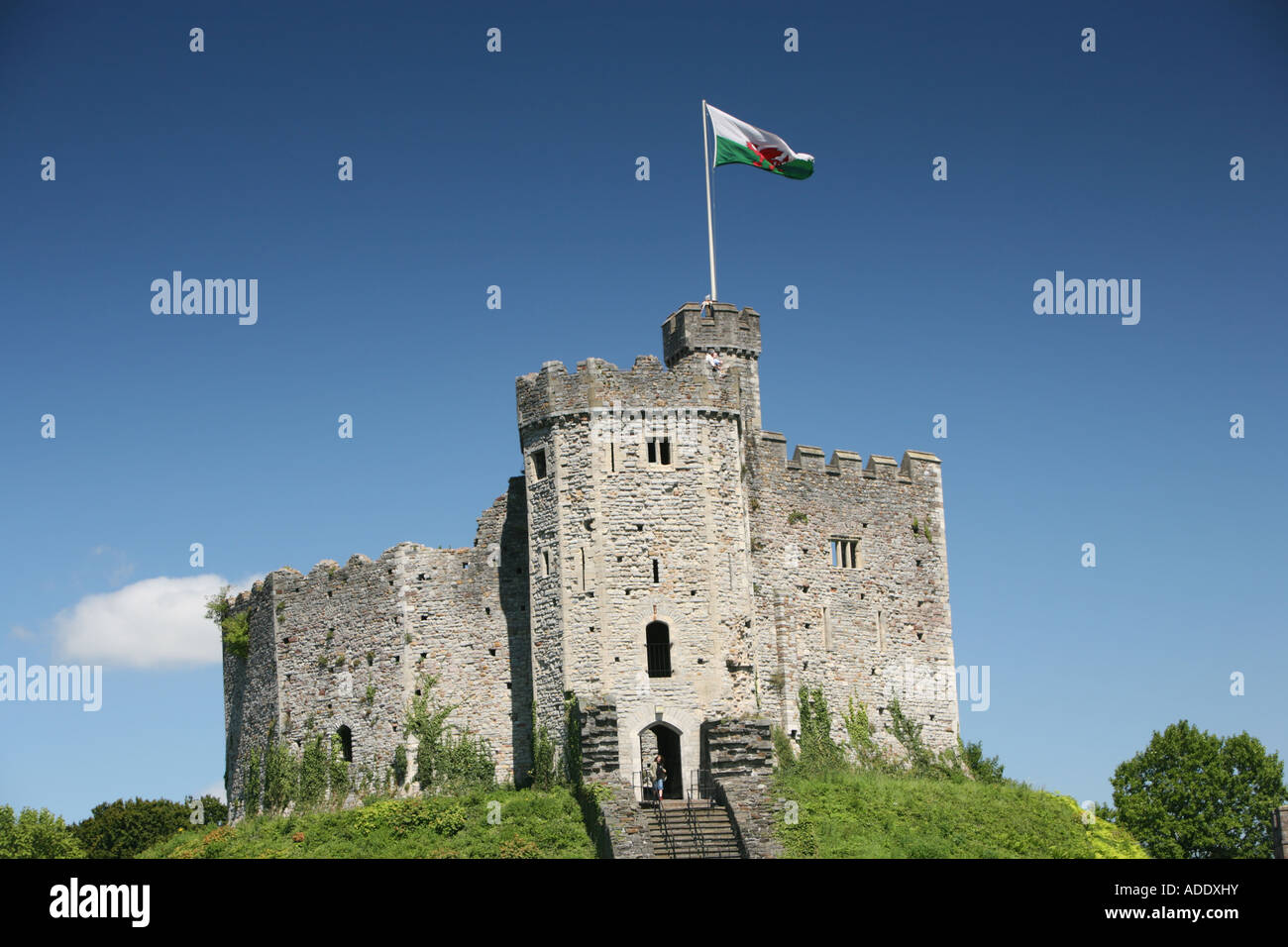 Cardiff castle and castle mound with welsh flag flying Stock Photo - Alamy