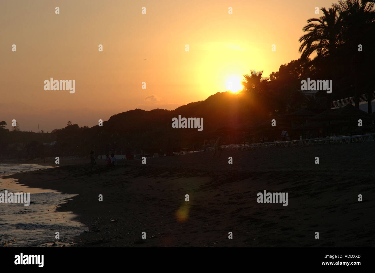 Summery sunburst nature hi-res stock photography and images - Alamy