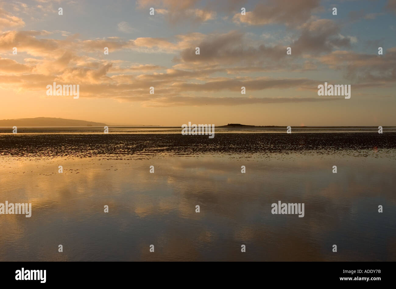 Dee estuary birds hi-res stock photography and images - Alamy
