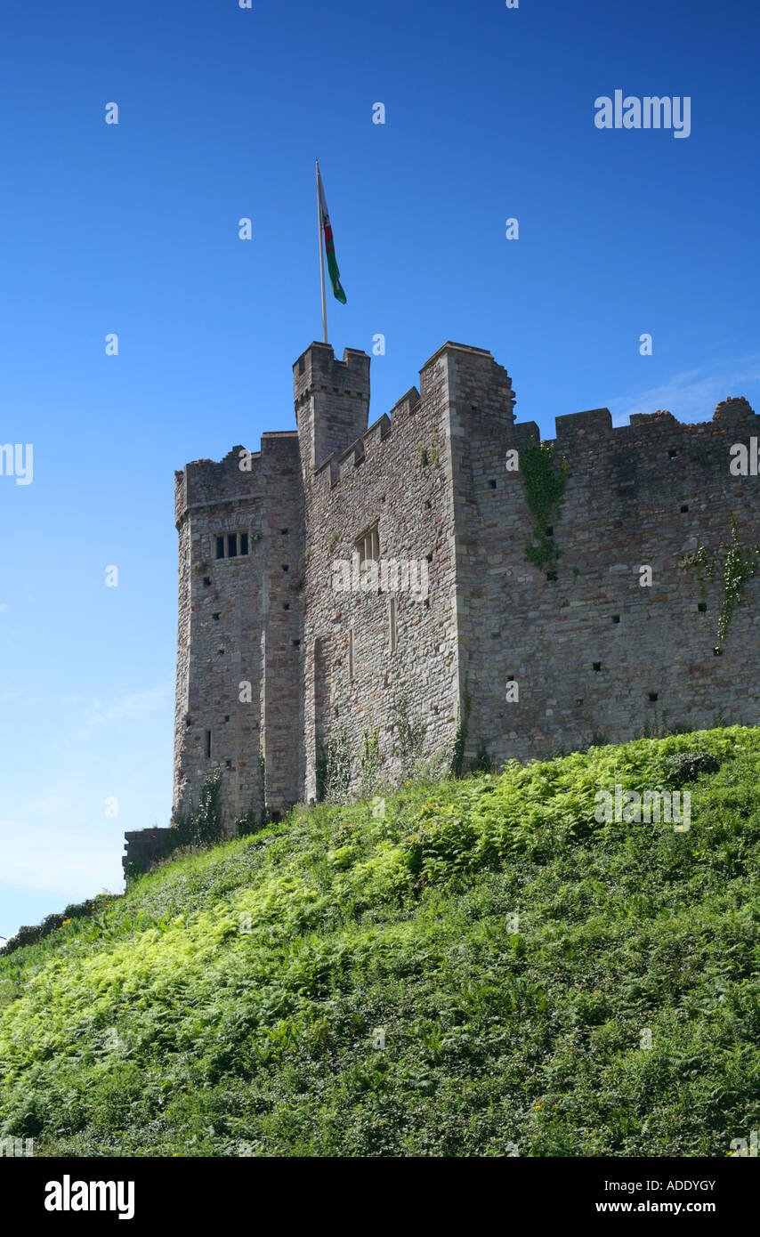Cardiff castle and castle mound with welsh flag flying Stock Photo - Alamy