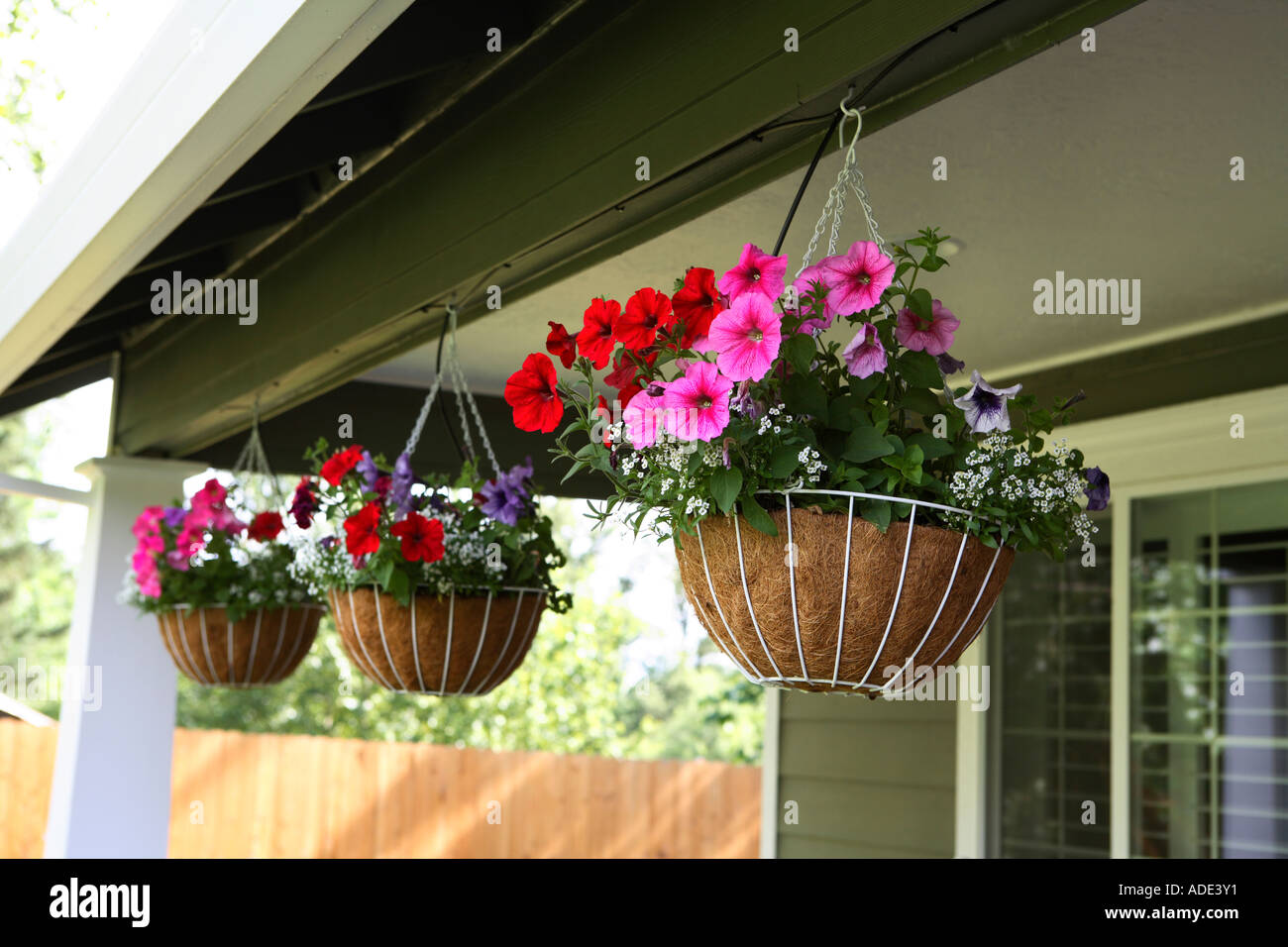 Hanging baskets on front porch of home Stock Photo - Alamy