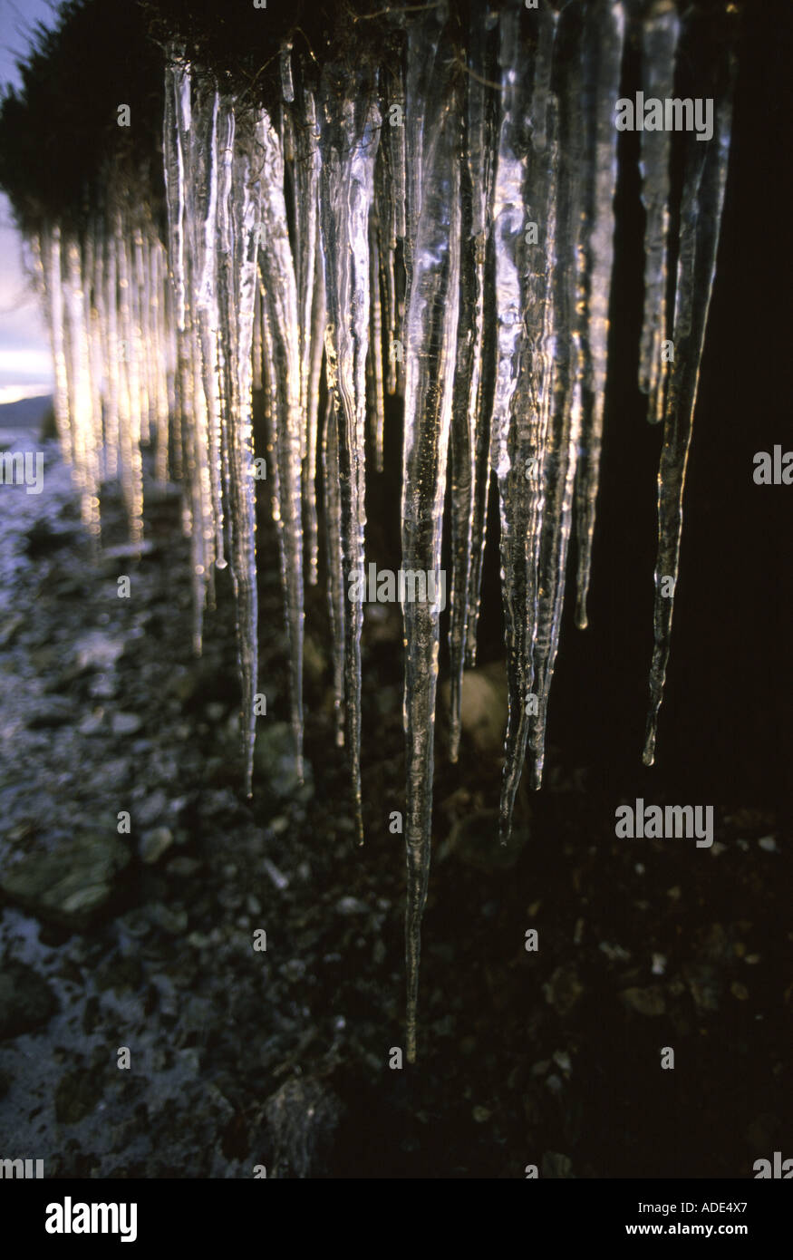 Peat hag hi-res stock photography and images - Alamy