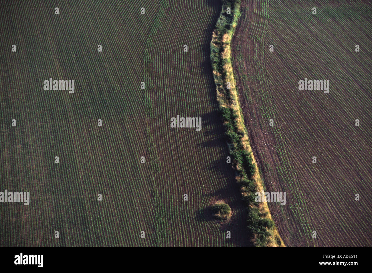 Loire Valley France geometric pattern in the Loire Valley as seen from ...