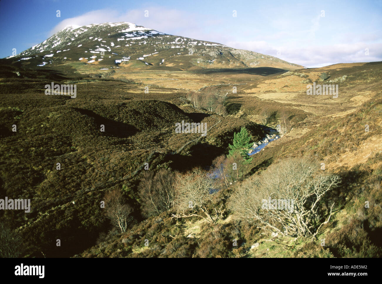Schiehallion Heather Scotland High Resolution Stock Photography and ...