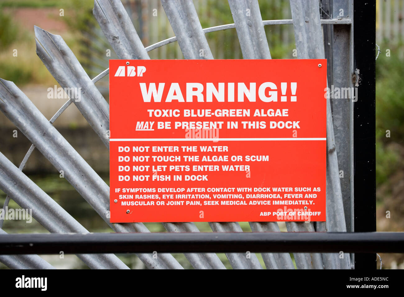 Toxic Algae Warning Sign Cardiff Bay Cardiff Wales Stock Photo - Alamy