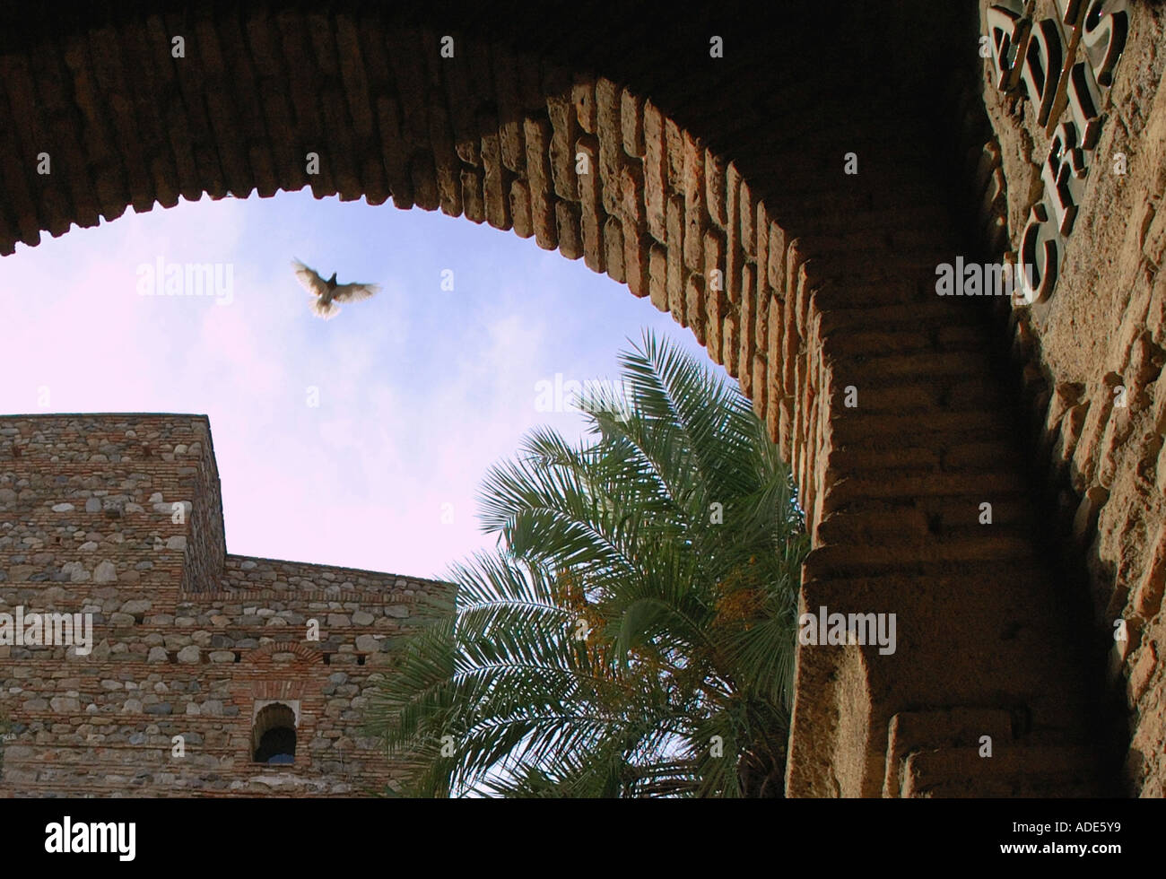 View of Alcazaba Palace Castle Gibralfaro Malaga Costa del Sol Sun ...